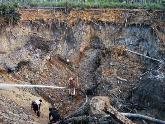 The Rainforest: Mining In The Rainforest